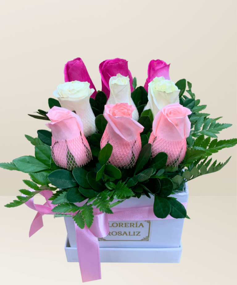 Box 9 Rosas Tricolor – Florería Rosaliz